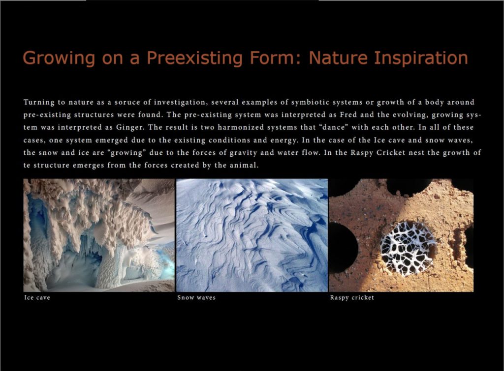 Computational Form Finding – WSA On Display 2021