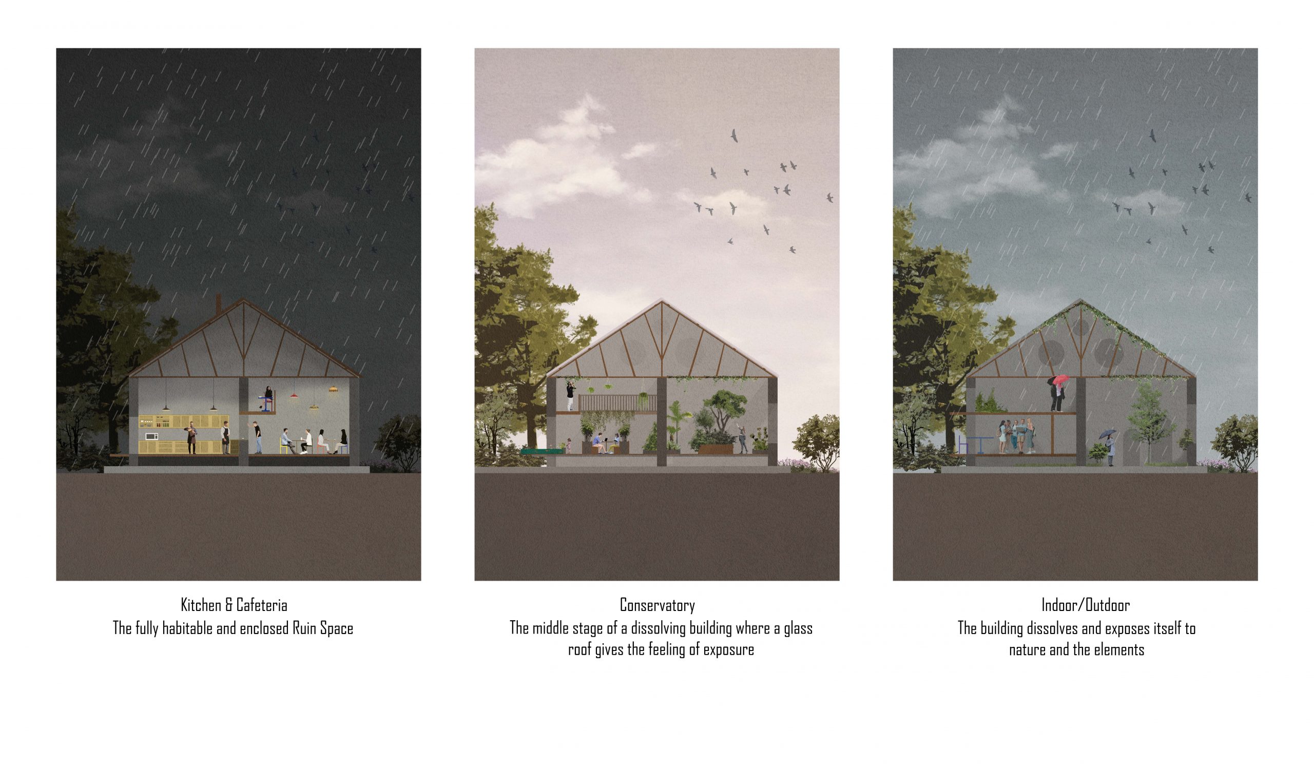 Treforest Community Garden – WSA On Display 2021